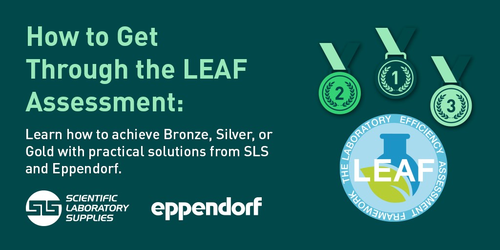 How to Get Through the LEAF Assessment: Practical Solutions from SLS ...