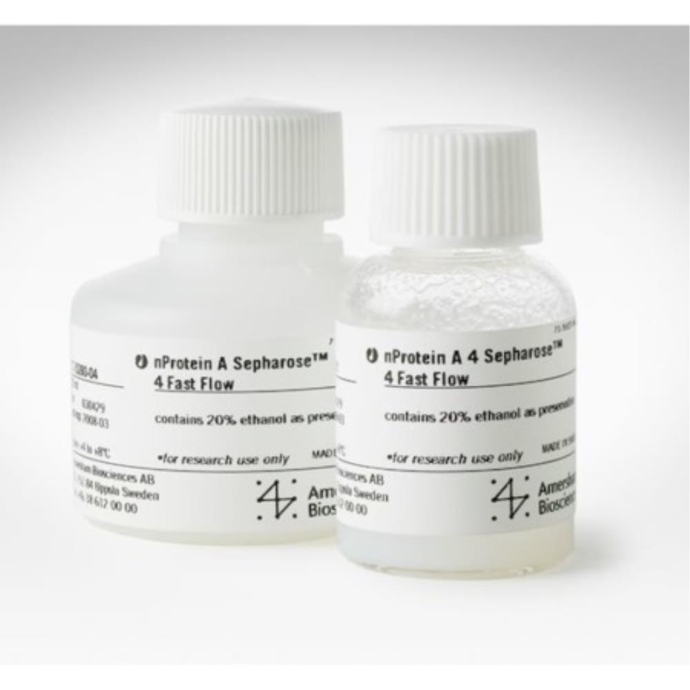 nProtein A Sepharose 4 Fast Fl | 17528001 | CYTIVA | SLS