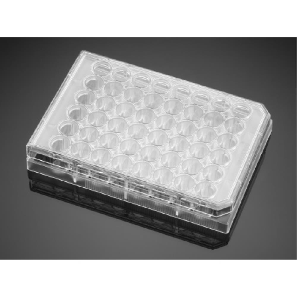 Falcon 48 Well Clear Flat Bott | 353230 | FALCON | SLS