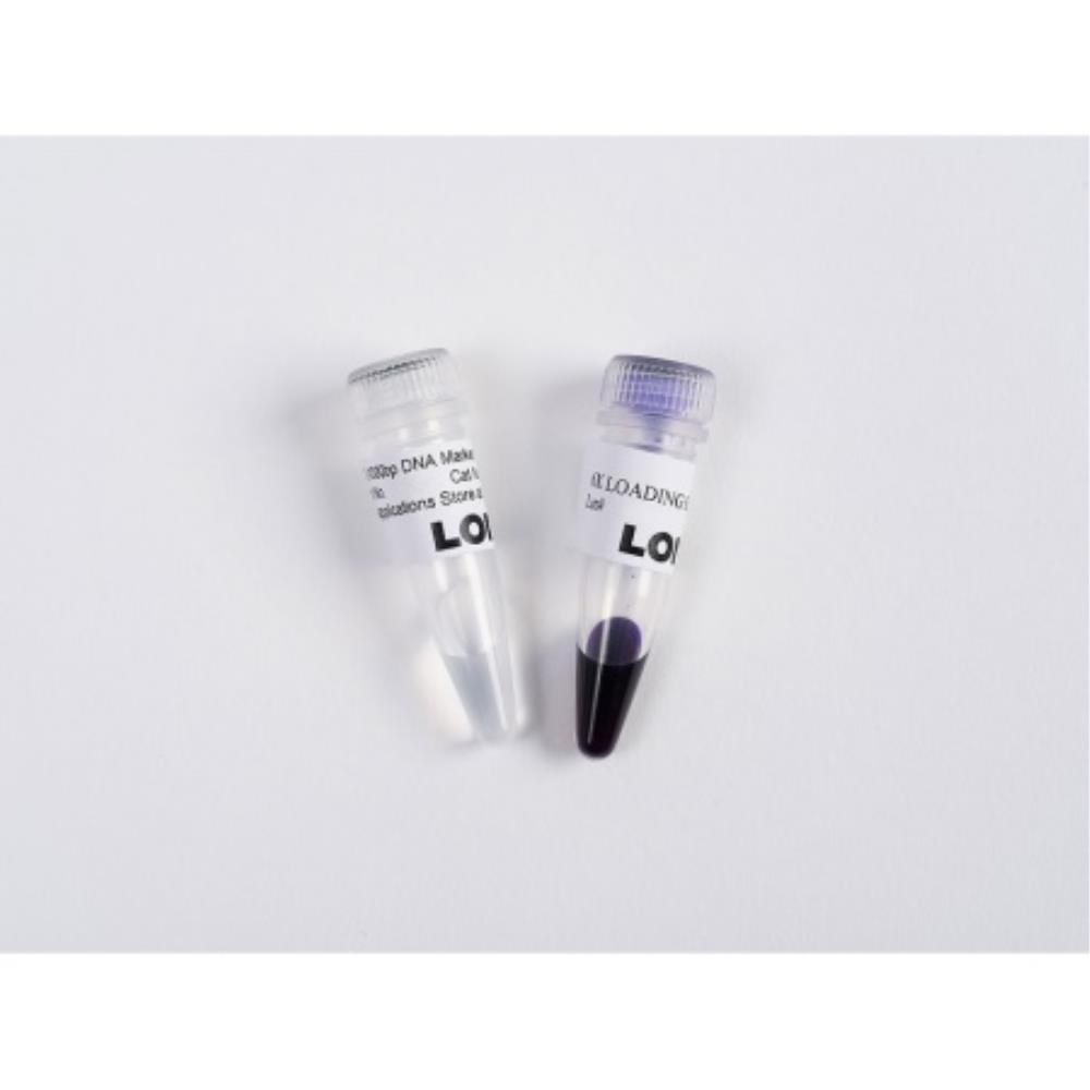 Lonza DNA Marker 50-2500bp for | LZ50631 | LONZA | SLS