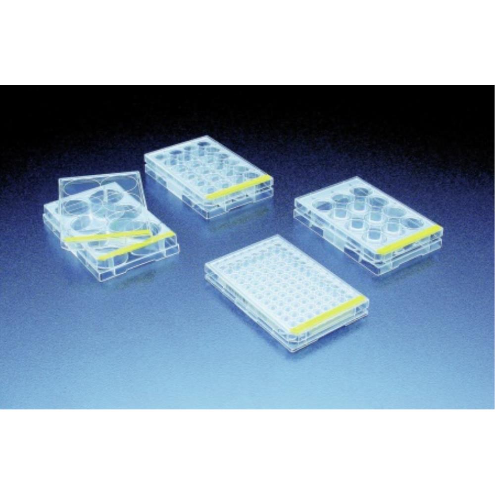 TPP Plate 6well flat | TIS7070 | SLS