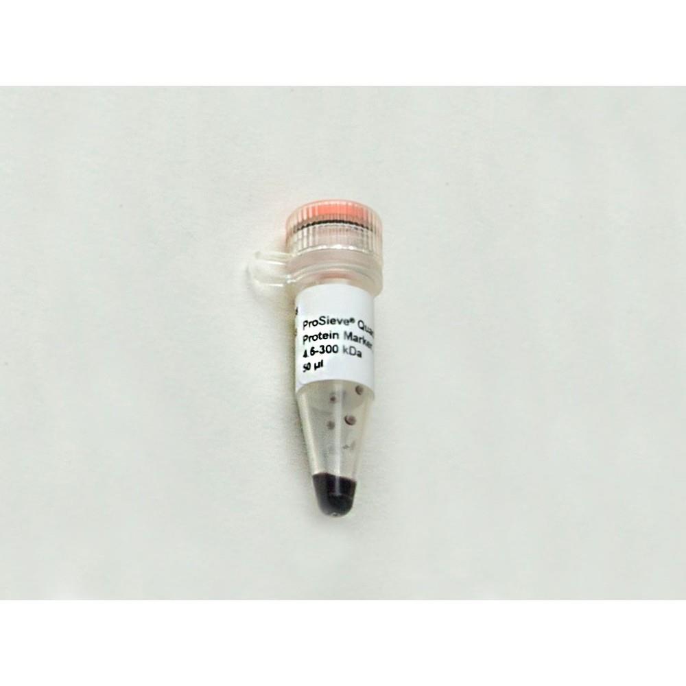 Lonza | Lonza Products | Lonza Chemicals | Lonza Bioscience