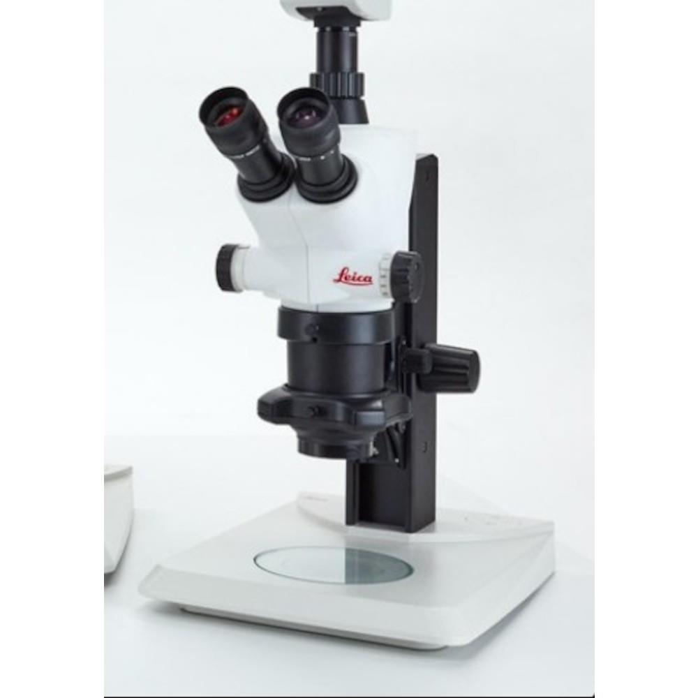 Microscopio