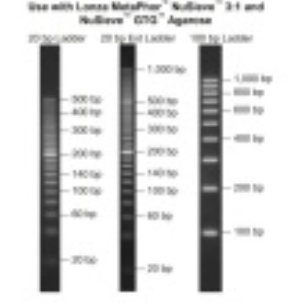 Lonza DNA Ladder 20bp for 150 | LZ50330 | LONZA | SLS